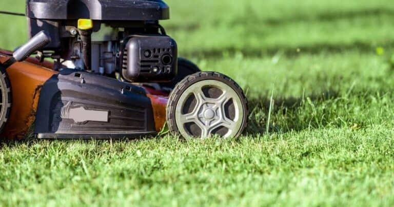 Push vs Self-Propelled Lawn Mowers: A Comparison - Powered Outdoors