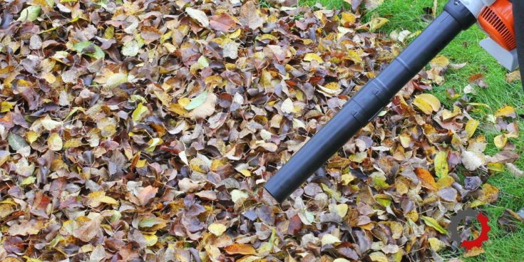 9 Reasons Your Leaf Blower Starts, Stalls and Dies (SOLVED!) - Powered ...